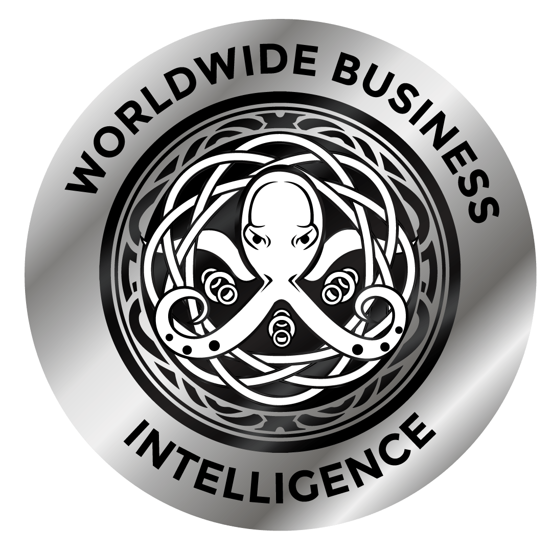 Worldwide Business Intelligence | Education Alliance Finland | Global ...